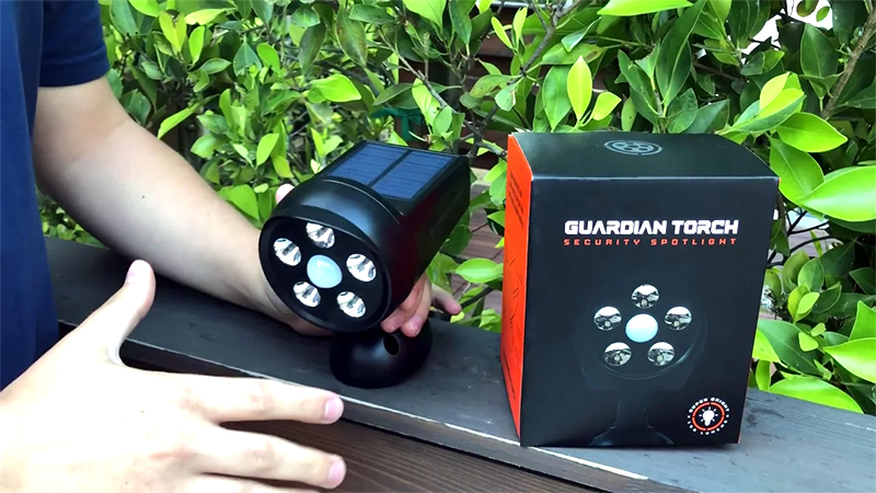 Guardian Torch
